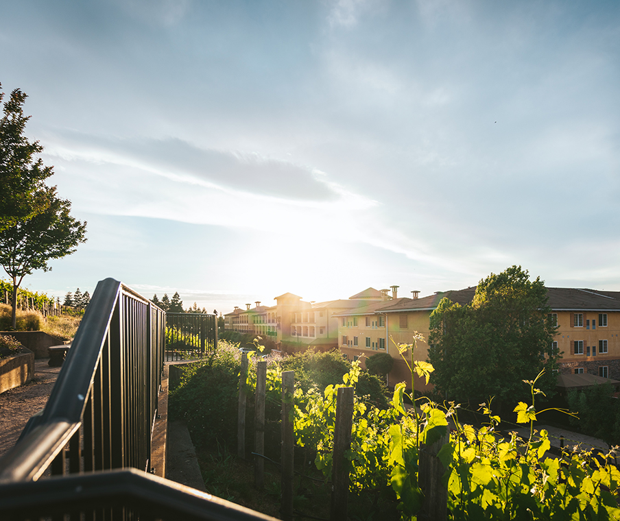 Visiting Napa Packages & Deals | Meritage Resort & Spa – Special Offer ...